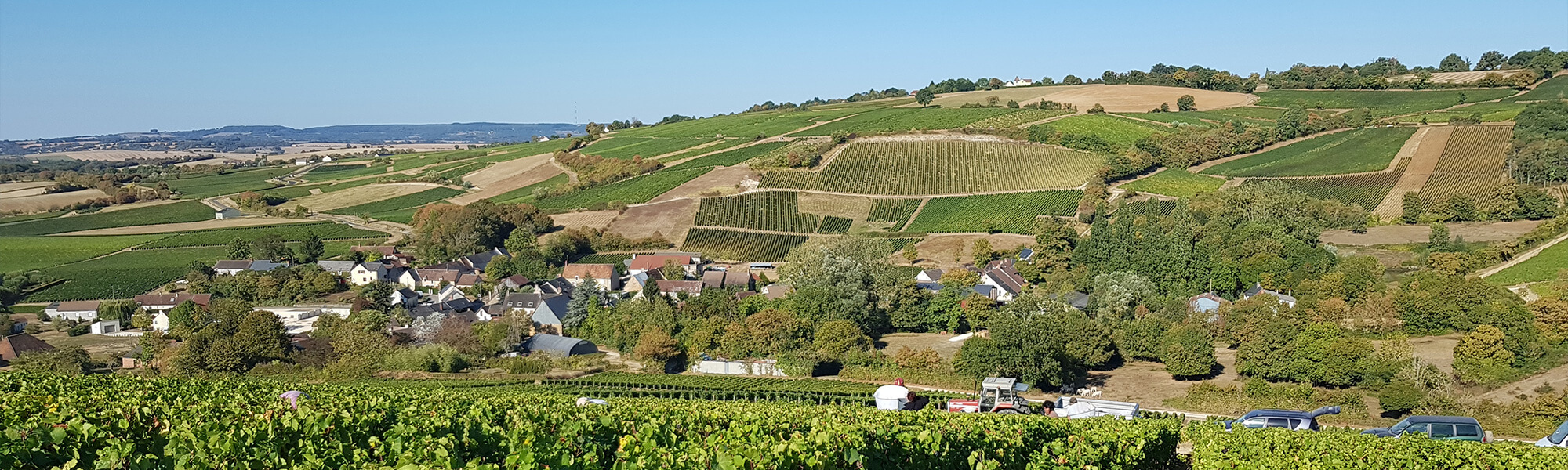 Domaine Daniel Chotard Crézancy-en-Sancerre